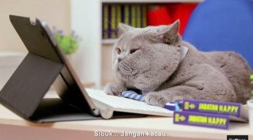 7 seriously bizarre Peribahasa Kucing explained (uzing Cat memez)