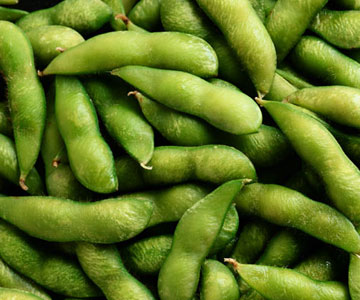 7 veggies you can grow on the balcony… in Malaysia!