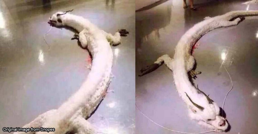 Dead dragon in Malaysia??! We check 7 Msian "viral news" on a ...