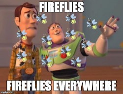 The world’s biggest fireflies are in… TTDI!? (And you can see them this ...