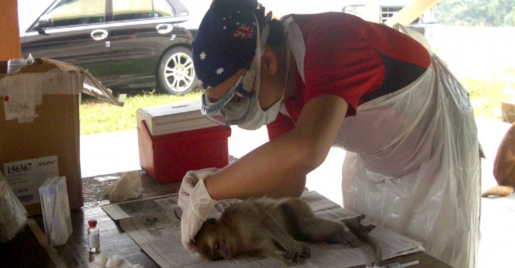 The epic story of how 2 Malaysian scientists cured Sarawak of… lethal ...