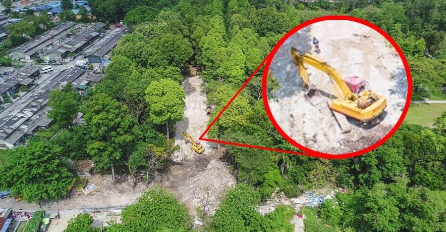 Workers started cutting trees in Taman Rimba? Here’s how TTDI folk reacted