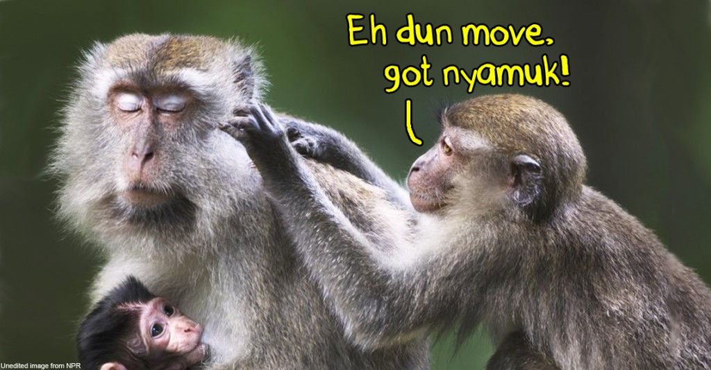 The epic story of how 2 Malaysian scientists cured Sarawak of… lethal ...