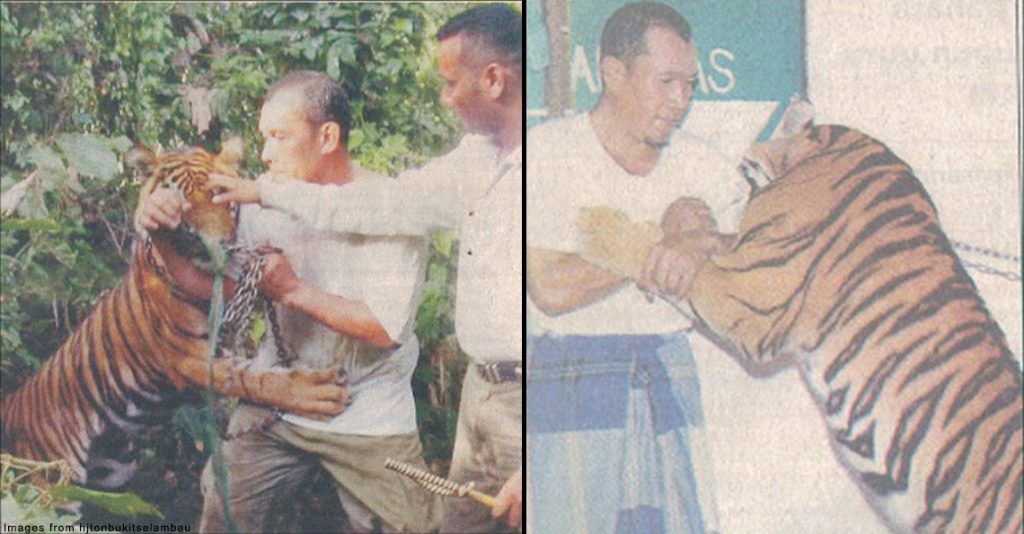 The story of Zaitun Arshad, Malaysia’s own Tiger King who stole ...