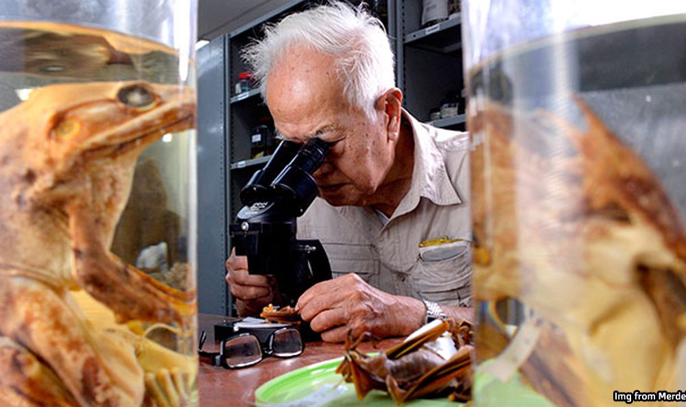 4 of the coolest discoveries by the late Dr Lim Boo Liat, Malaysia’s ...