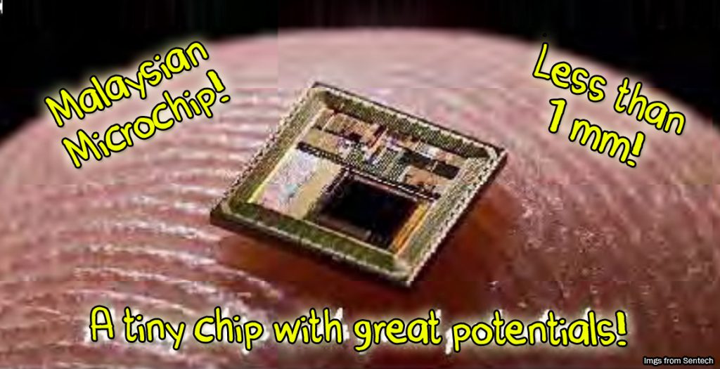 Back in 2007, Malaysia launched the world’s smallest microchip. What ...