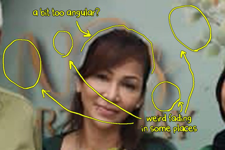 We investigate the photo of Najib’s “second family” and found a deeper ...