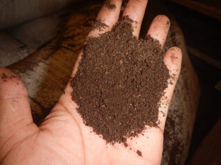 The multiracial history of Batu Caves in Malaysia