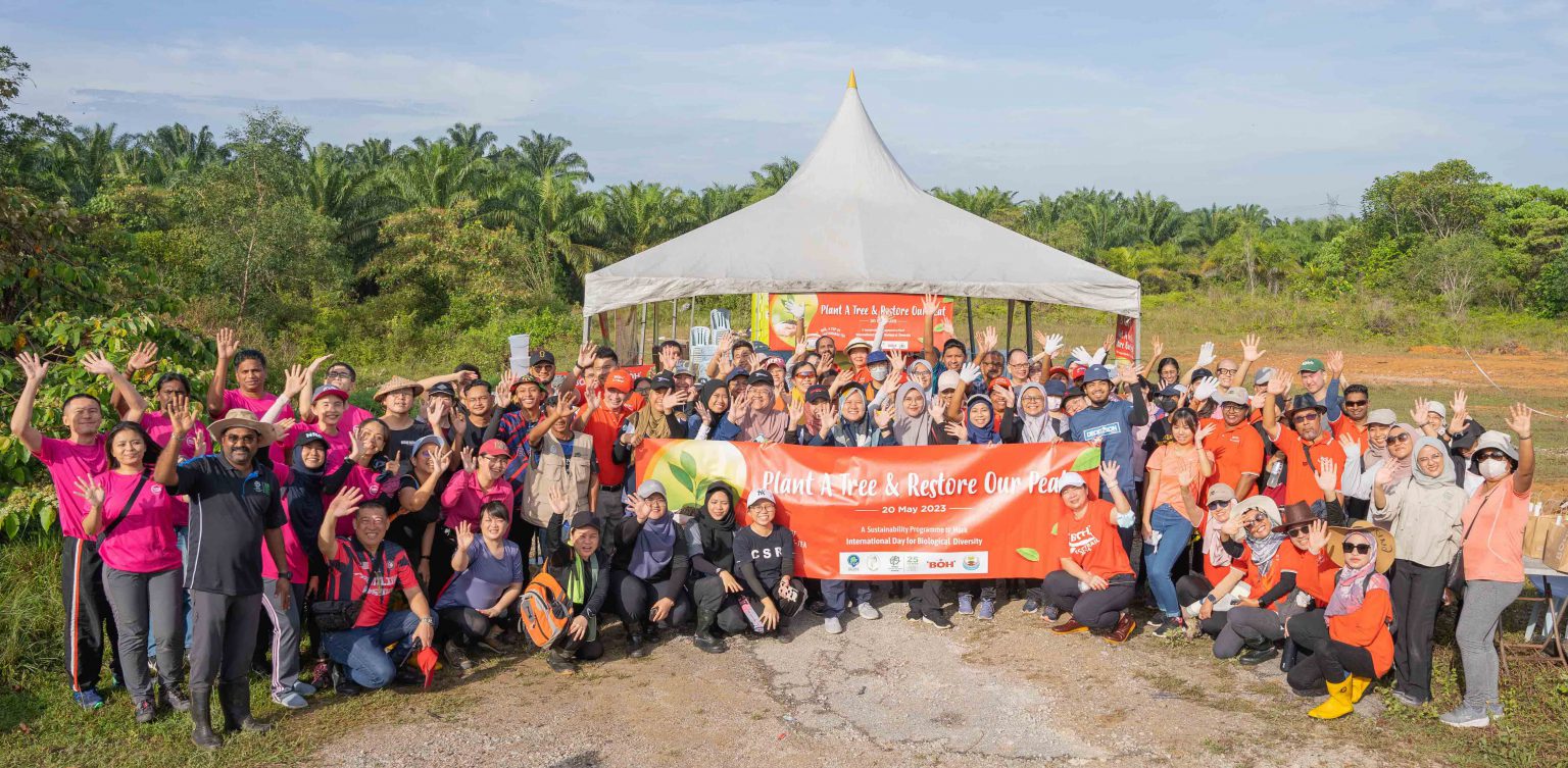BOH plants 600 trees in peat swamp forest to preserve biodiversi-tea