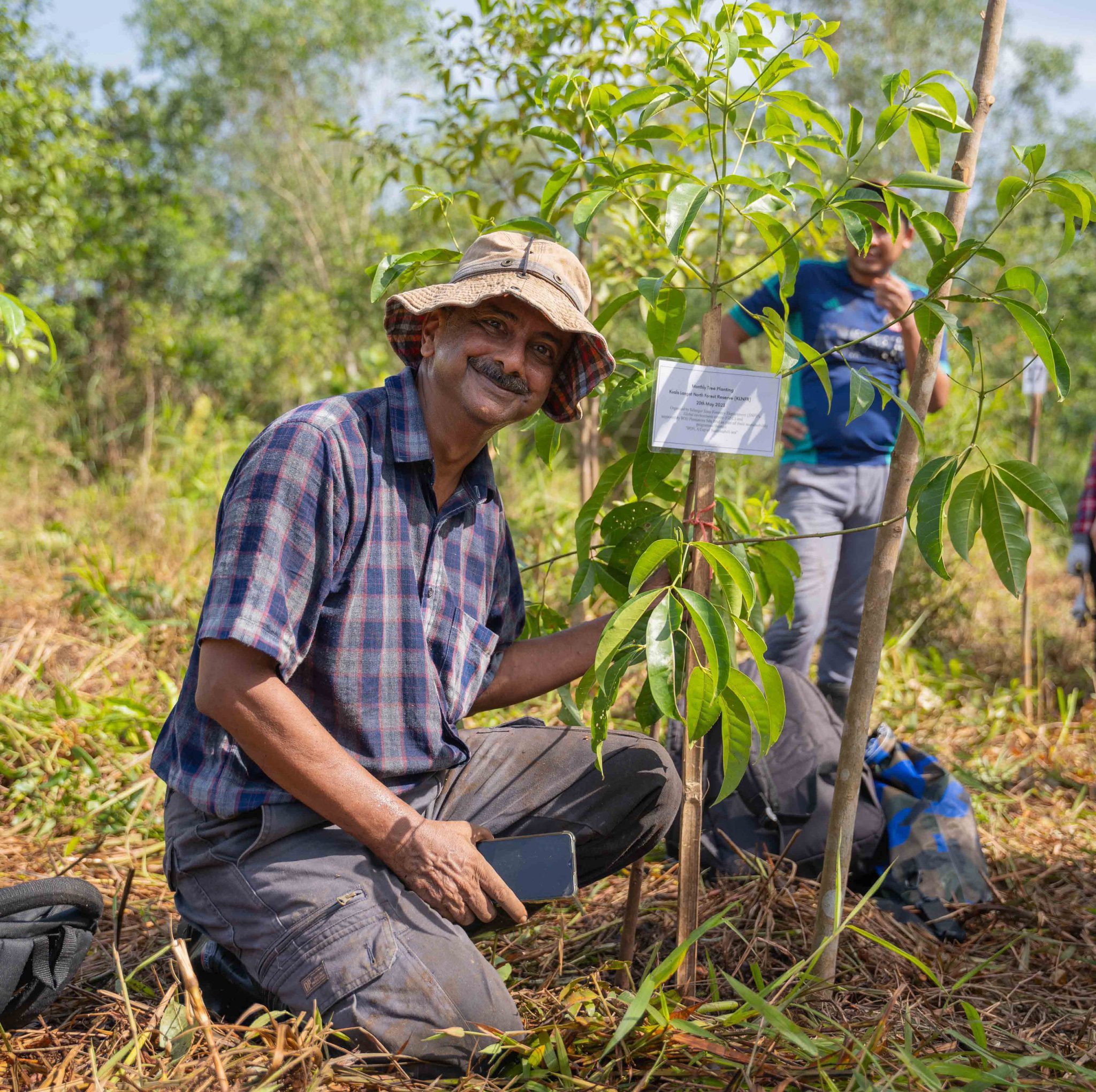 BOH plants 600 trees in peat swamp forest to preserve biodiversi-tea