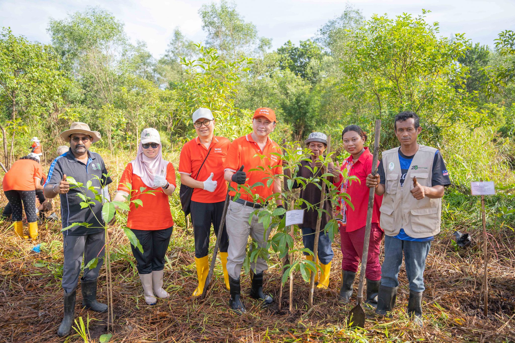 BOH plants 600 trees in peat swamp forest to preserve biodiversi-tea