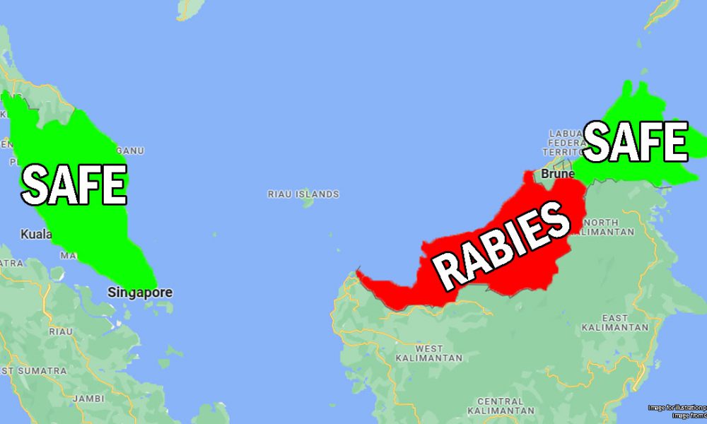 How the Sarawakian govt’s mistakes caused the rabies outbreak