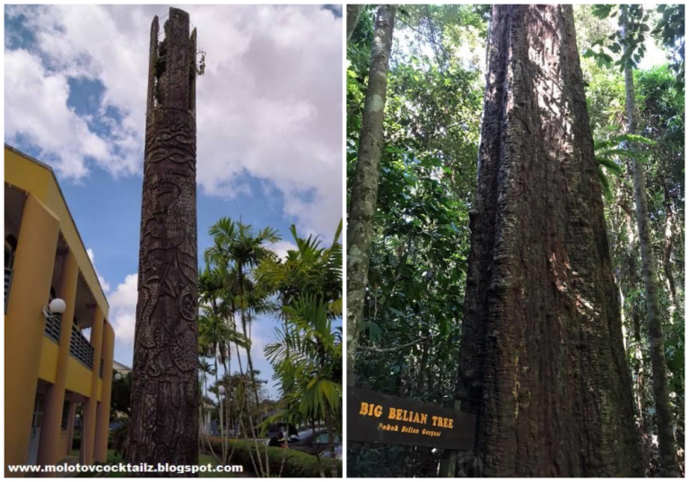 Jerunai: The Melanau Burial Pole Involving Human Sacrifice