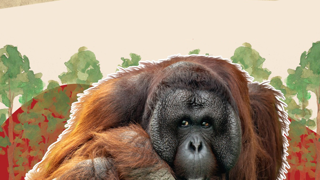 [INFOGRAPHIC] Get to know our endangered Malaysian animals